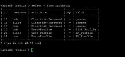 FreeRADIUS User Profile Configuration for MikroTik Router - System Zone
