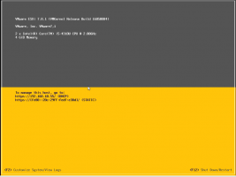 VMware ESXi 7.0 Installation and Basic Configuration - System Zone