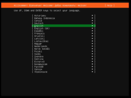Ubuntu Server 20.04 Installation with LVM (with Screenshots)