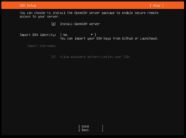 Ubuntu Server 20.04 Installation with LVM (with Screenshots)