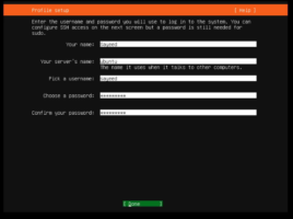 Ubuntu Server 20.04 Installation with LVM (with Screenshots)